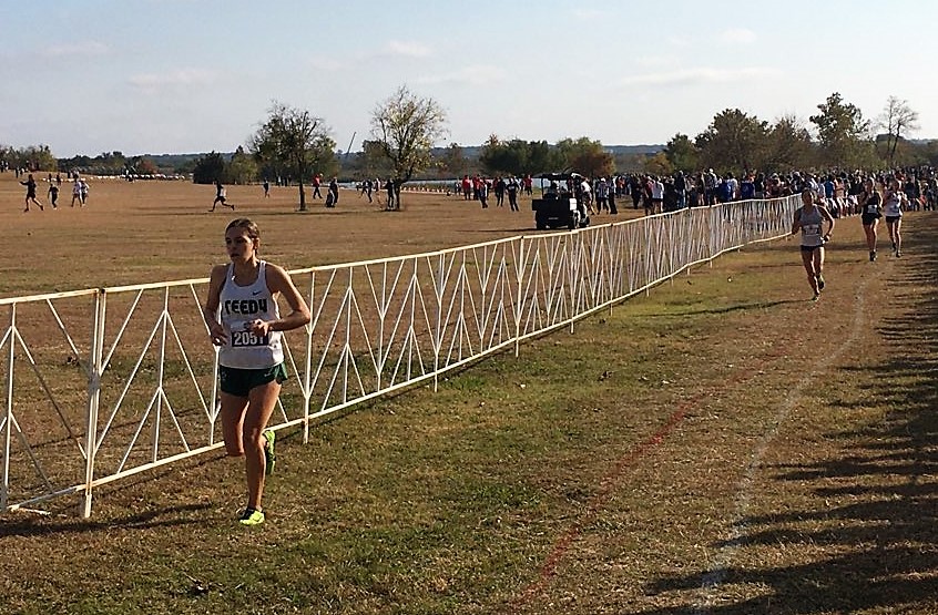 FISD Cross Country Runners Finish in Top 10 at State