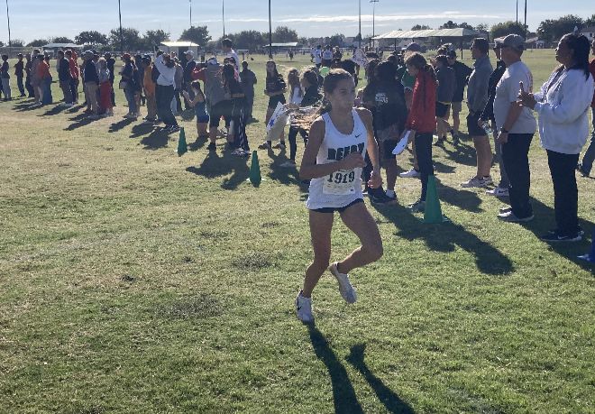 Three FISD Cross Country Teams Qualify for State