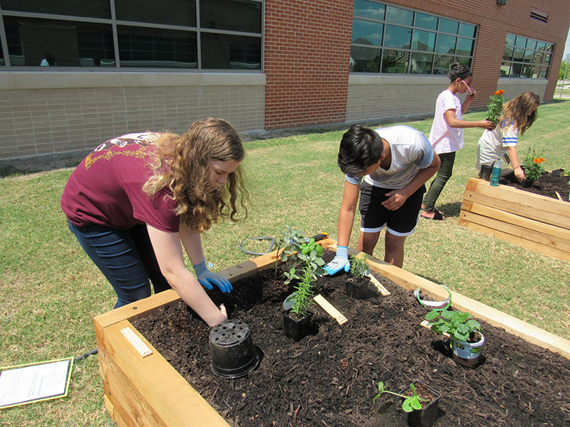 Nelson Middle School Learns in the Garden